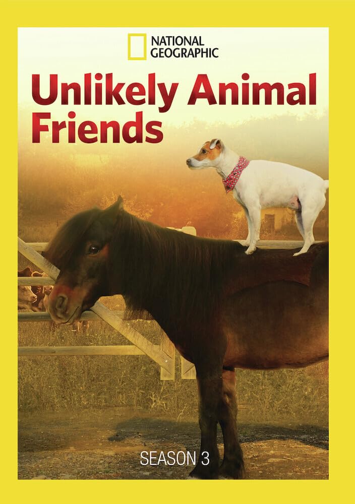 Strange Animal Friends National Geographic Unlikely Animal Friends (TV