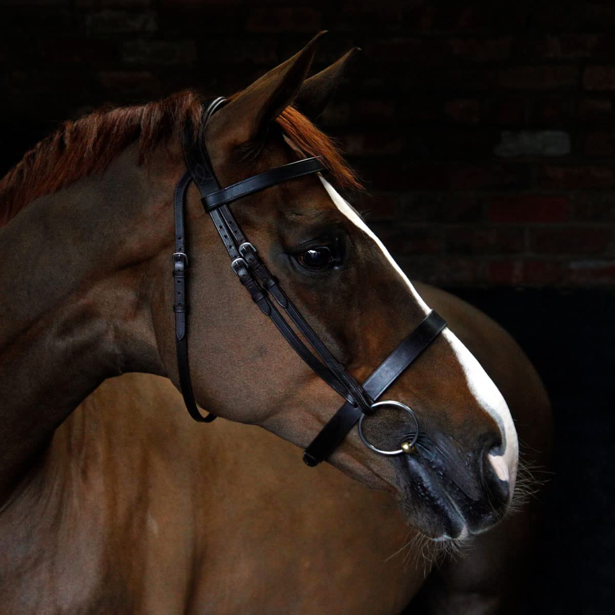 Buy Harry Hall Cottage Craft Cavesson Bridle | Anatomical Horse Bridles ...