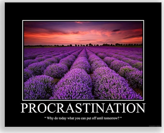 Amazon.com: Inspirational Wall Art Co. - Procrastination ...