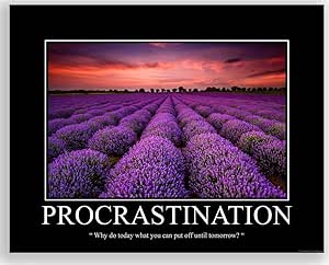 Inspirational Wall Art Co. - Procrastination | Demotivational Poster ...