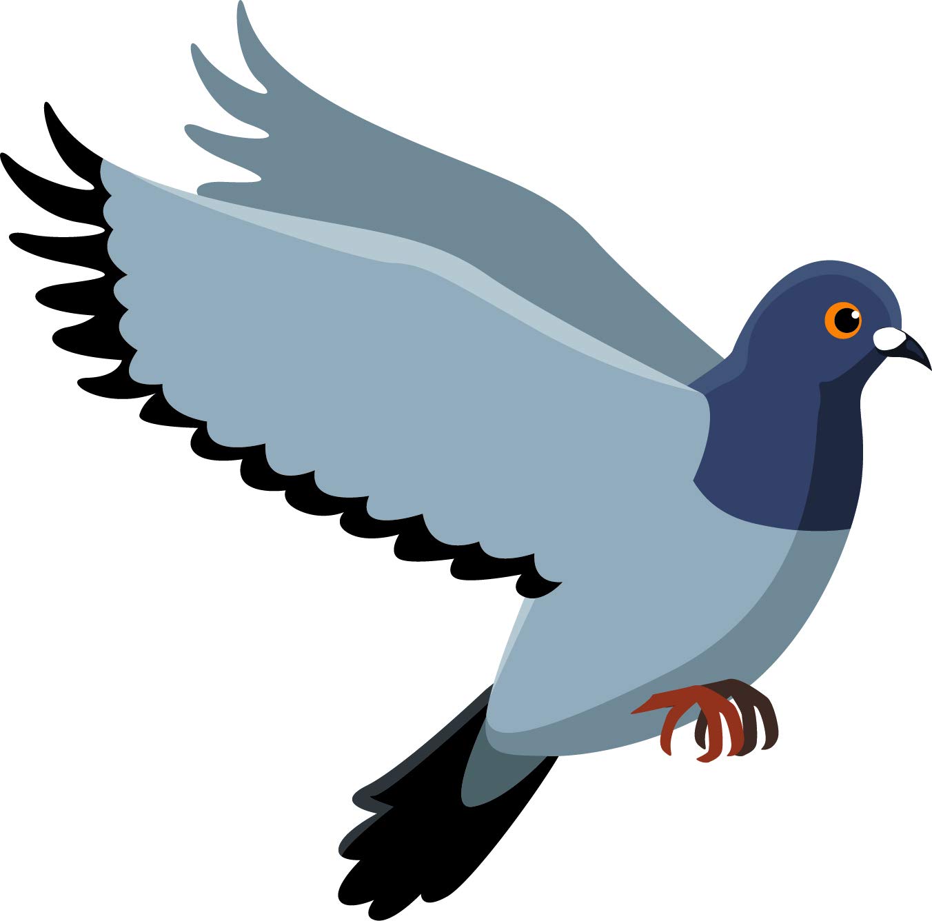 Pigeon Cartoon Images