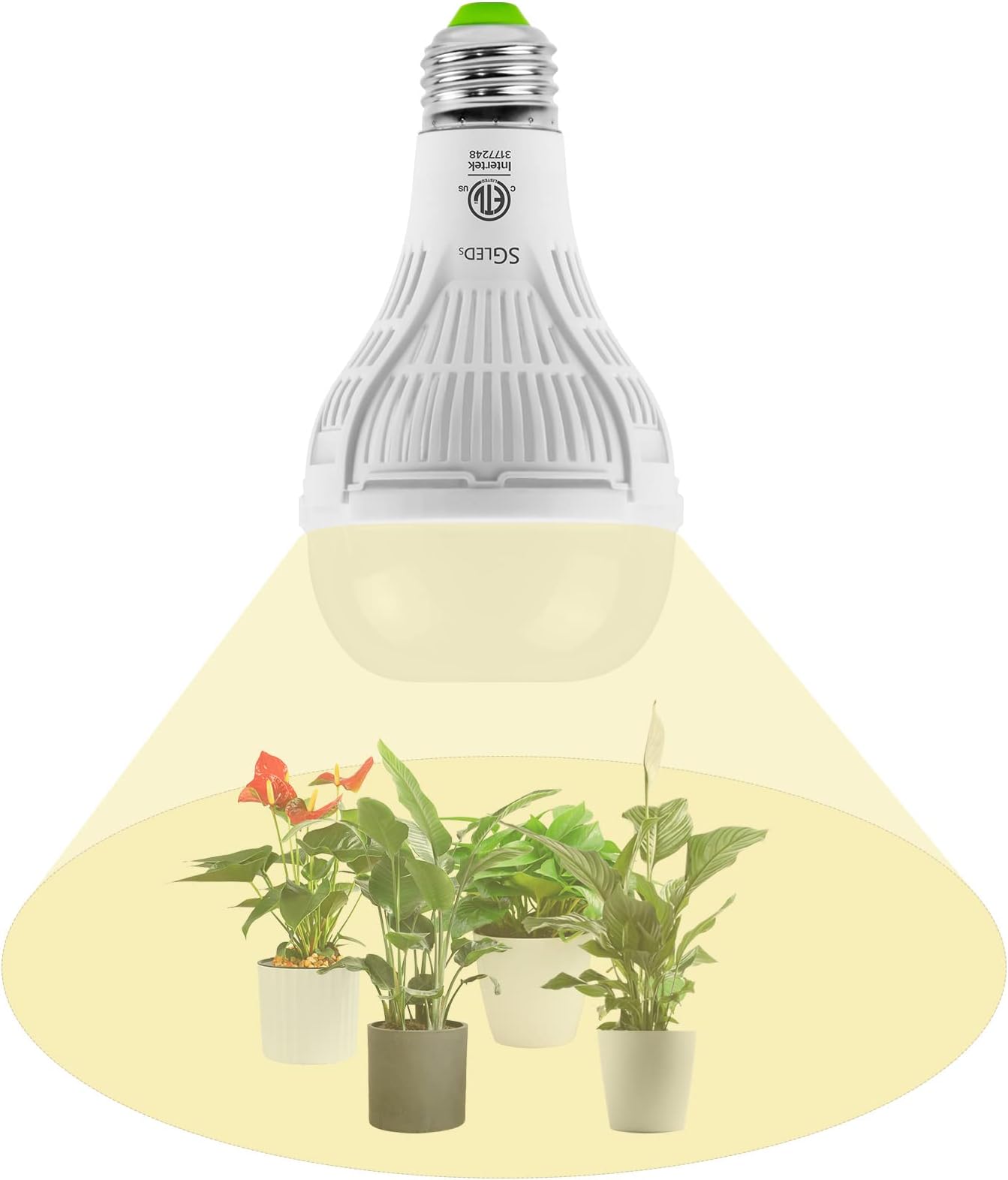 Amazon.com : 2 Pack Par16 LED Grow Light Bulb,Plant Short Neck Light ...