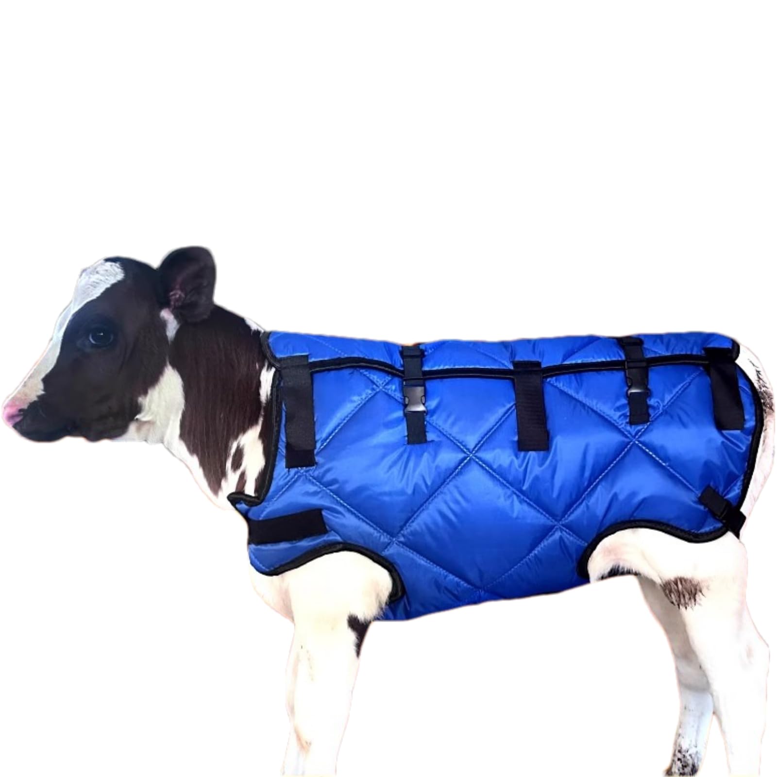 Amazon.com : Calf Goat Blanket Jacket - Thickened Waterproof Quilted ...