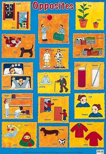 Opposites (Laminated posters) : Helen Hopper: Amazon.com.mx: Libros