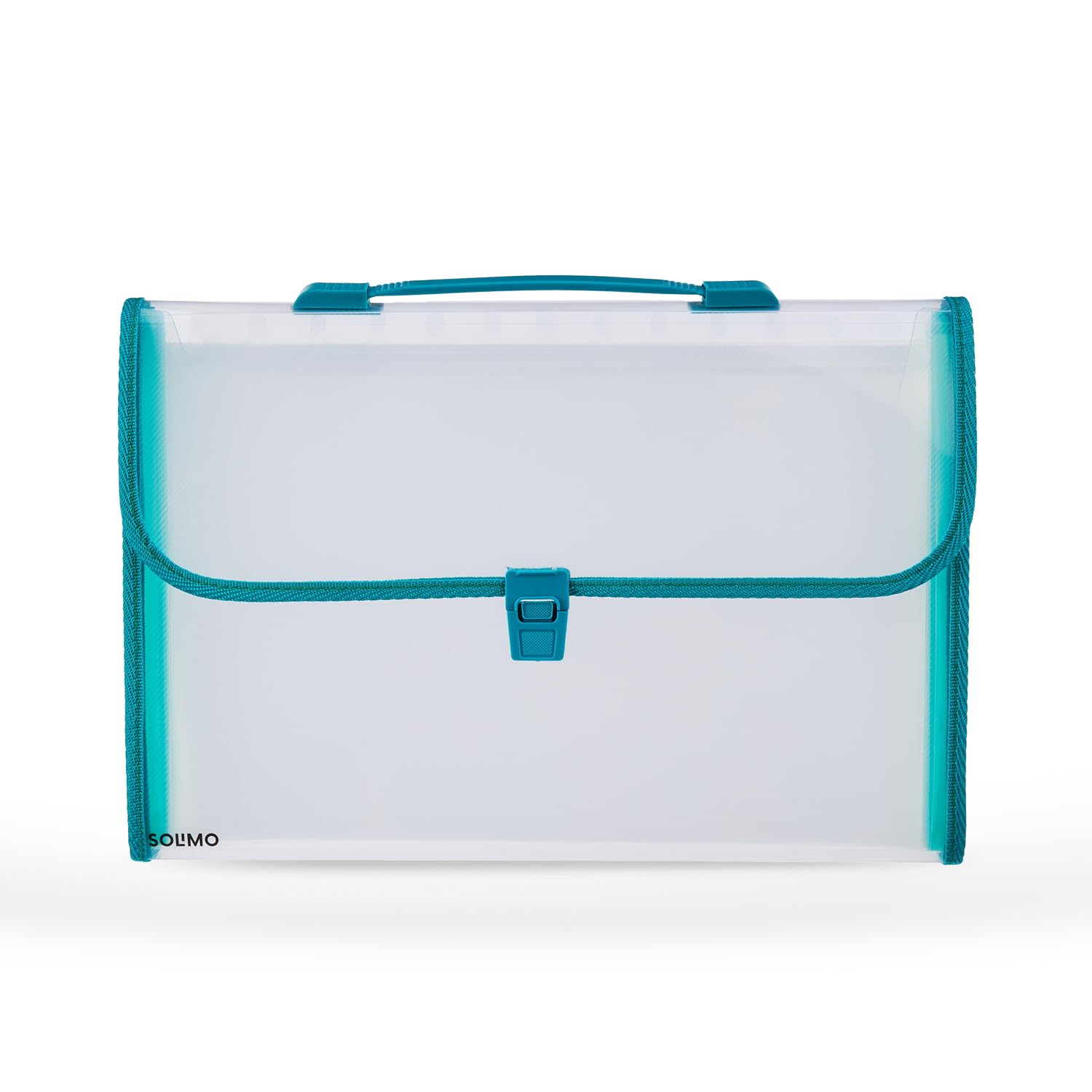 Amazon Brand - Solimo Transparent Expanding File Folder with 13 Pockets ...