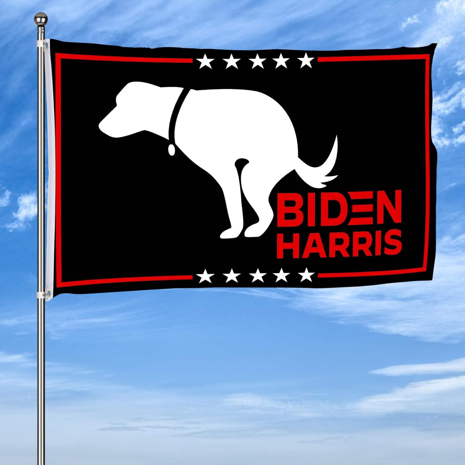 Amazon.com : Probsin Anti Biden 2024 Flag 3x5 Ft Funny My Dog Hates ...