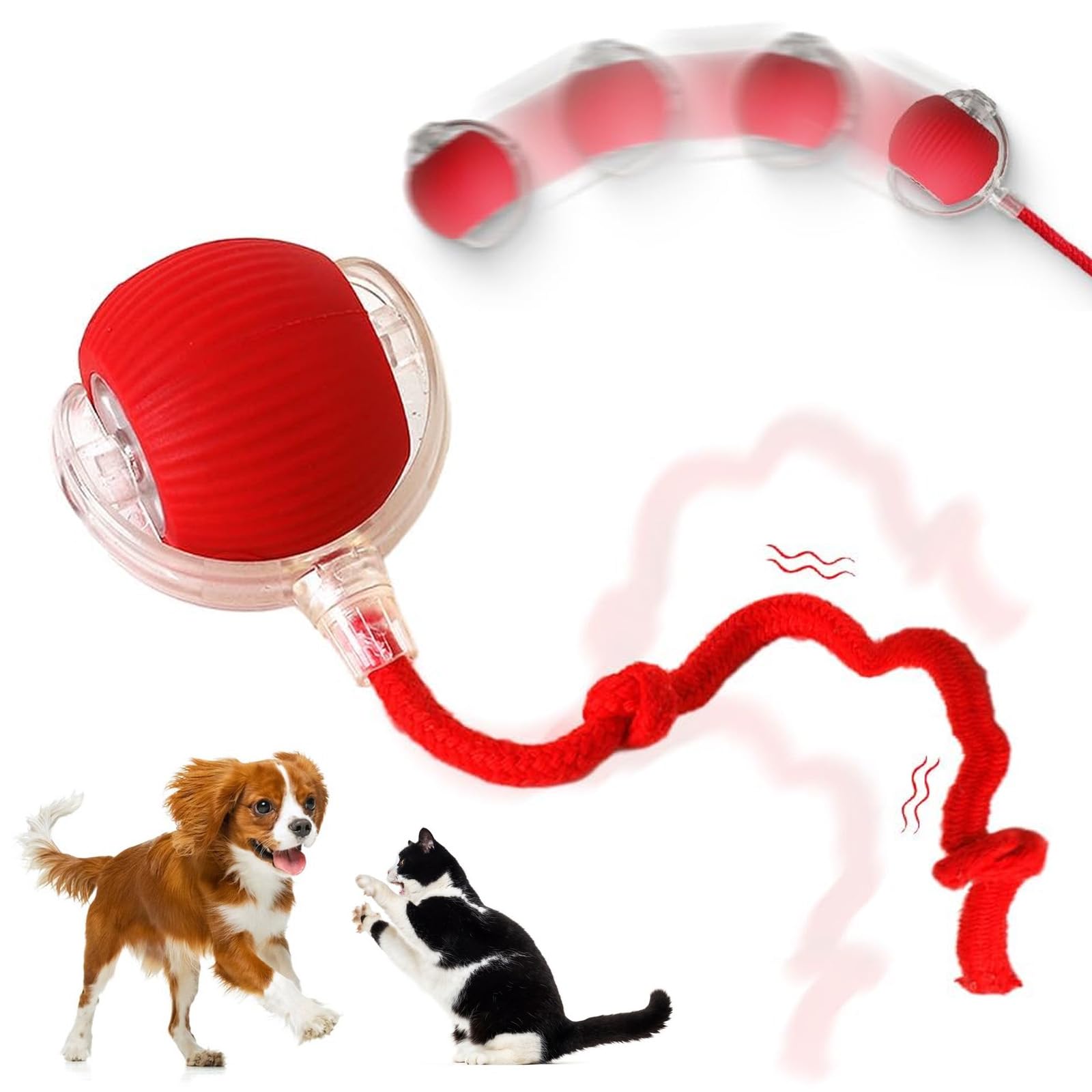 LengSuaa Interactive Rolling Pet Ball, USB Rechargeable Interactive Cat ...