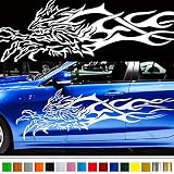 ・ブランド:Syaraku&amp;GENESIS・製造元:syaraku・製造元/メーカー部品番号:premium109・信頼のバイナルグラフィックブランド「GENESIS」・本格ワイドサイズバイナルグラフィック・【サイズ】横約1600m...