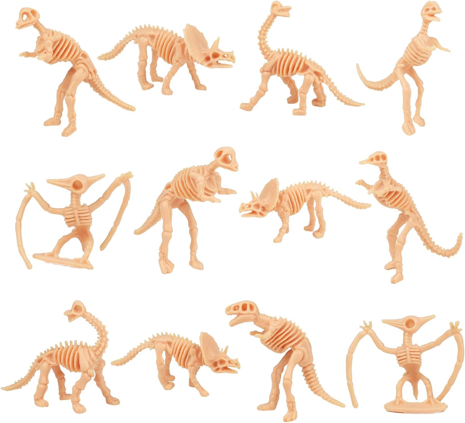 MEISH 12 Pieces Dinosaur Skeleton Model Mini Dinosaur Fossils ...