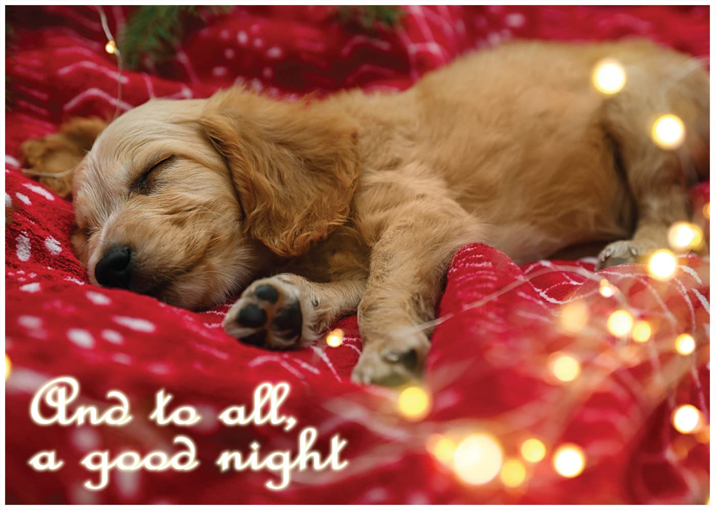 Amazon.com : Glory To Dog And To All A Good Night Cocker Spaniel ...