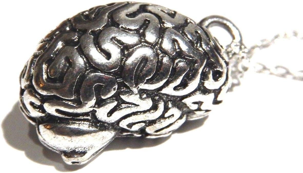 Amazon.com: 3D Human Brain Pendant on 18" Silvertone Chain Necklace IQ ...