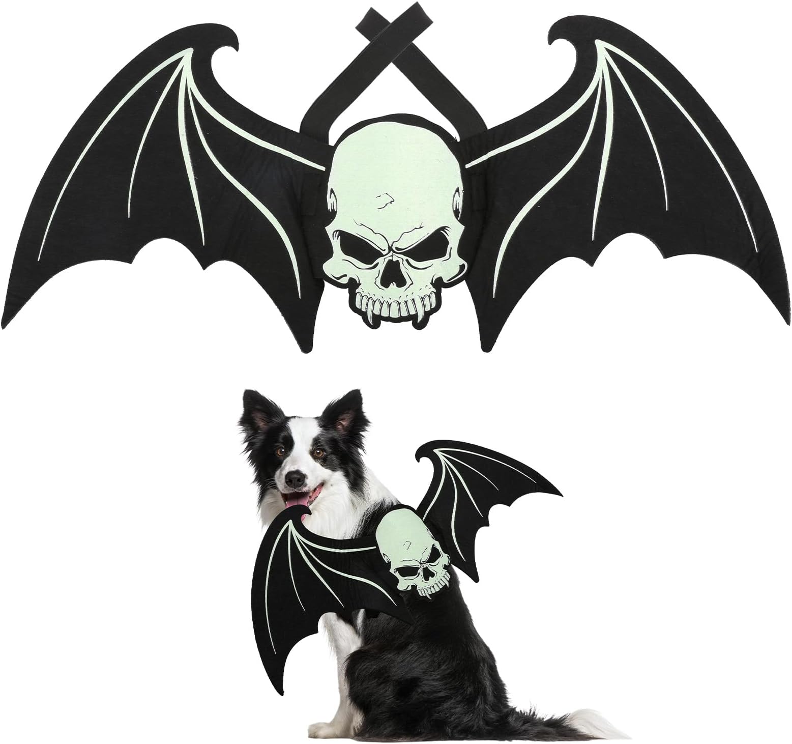 obqo Halloween Pet Bat Wings Cat Dog Bat Costume Pet Costume Halloween ...