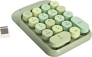 Amazon.com: GOWENIC USB Numeric Keypad Number Pad, 2.4G 18 Keys Mini Digital Keyboard, Portable ...