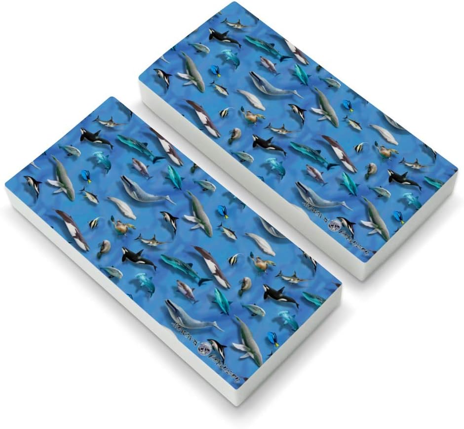 Amazon.com: Ocean Life Whale Dolphin Manatee Shark Pattern Eraser Set ...