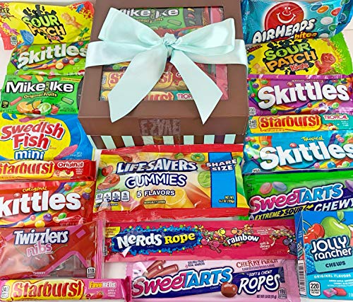 Unwrap Joy with Chewy Christmas Box: Top 10 Must-Have Products for the ...