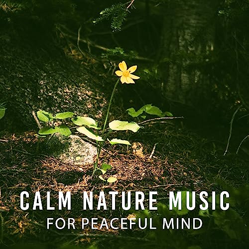 Amazon.com: Calm Nature Music for Peaceful Mind – Rest with Nature ...