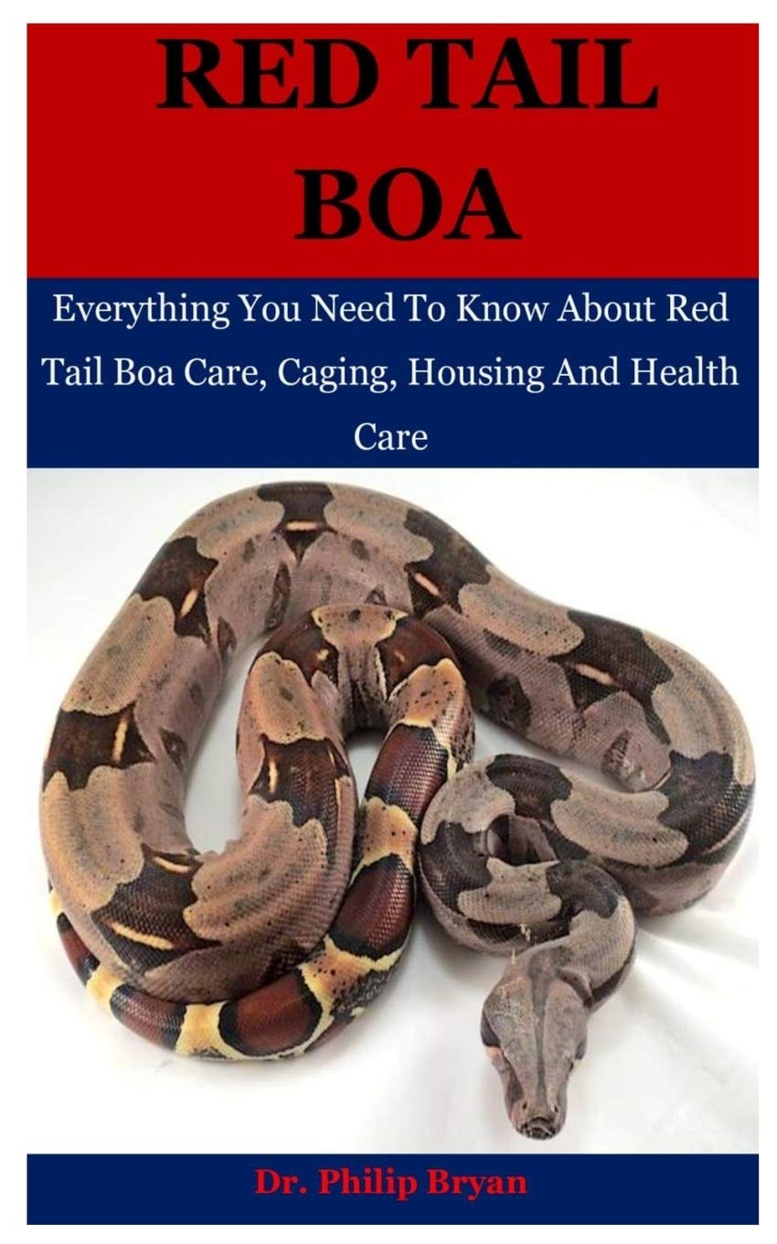 Red Tail Boa Everything You Need To Know About Red | Desertcart INDIA