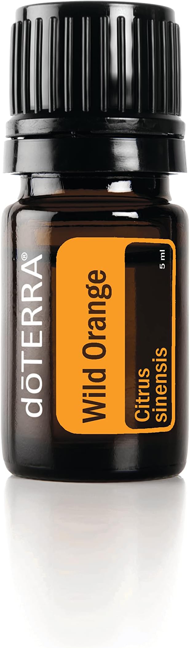 Amazon.com: doTERRA Wild Orange Essential Oil (5ml) : Health & Household