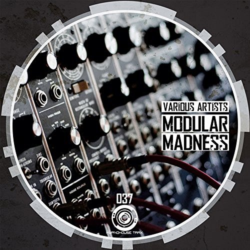 Play Modular Madness E.P by VARIOUS ARTISTS on Amazon Music