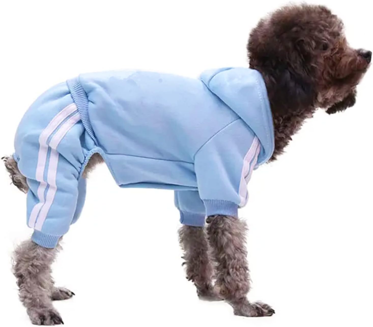 Amazon.com : Puppy Dog Winter Wear: Hoodie, Sweater, Fleece Sweatshirt ...