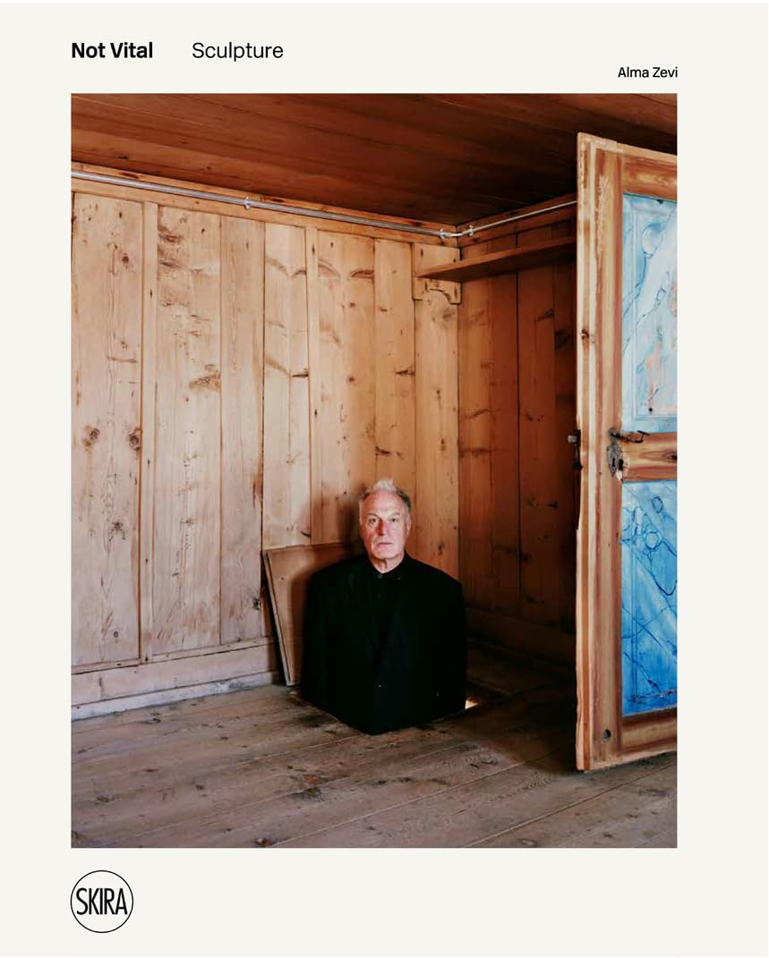 Not Vital: Sculpture: Vital, Not, Zevi, Alma, Vital, Not: 9788857246147 ...