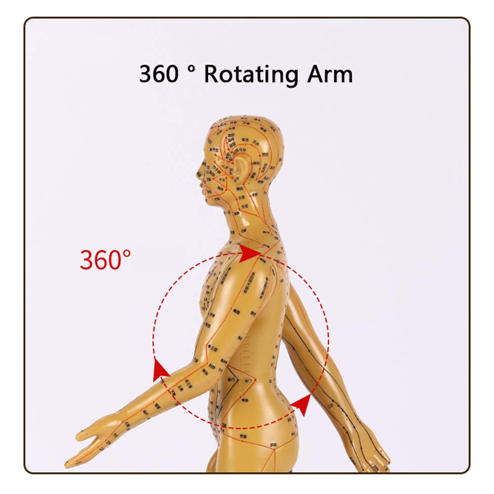 Healing Meridians Shoulder Understanding The Body Meridians