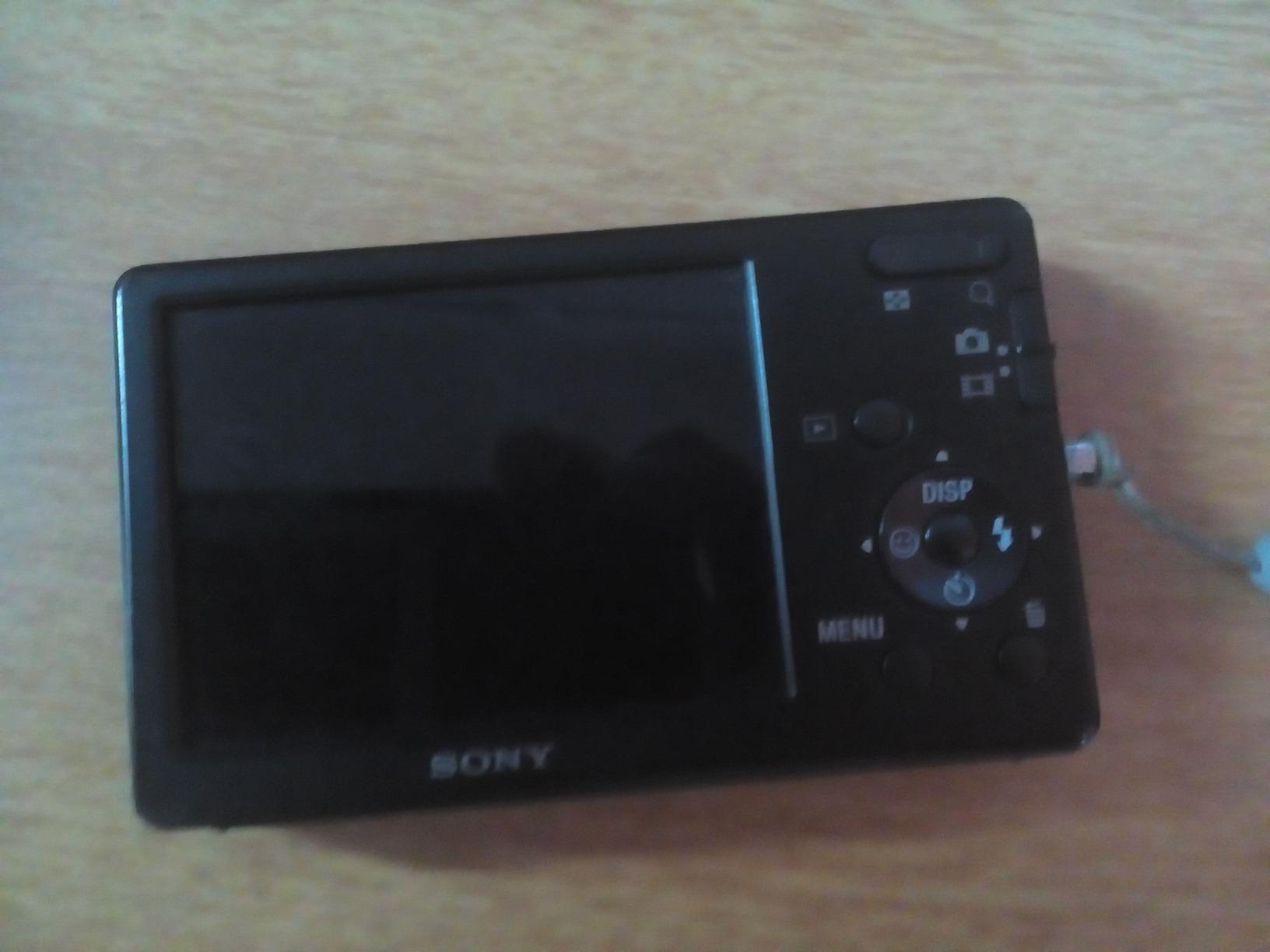 Sony DSC-W310 Digital Camera