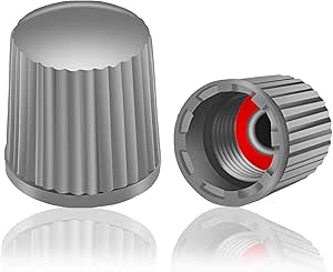 Amazon.com: 20 Pack Gray Plastic Tire Valve Stem Covers Original TPMS ...