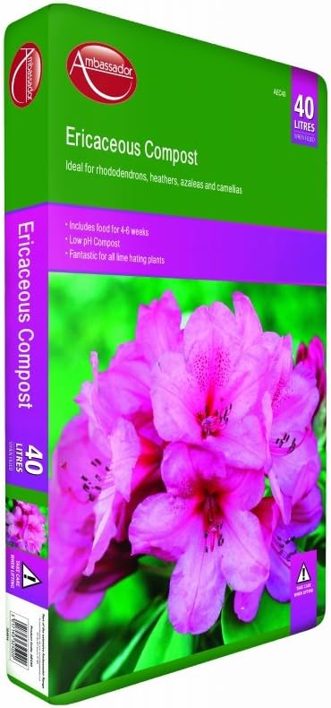 Amazon.com: Ambassador Ericaceous Compost 40 Litres Ideal for Azaleas ...
