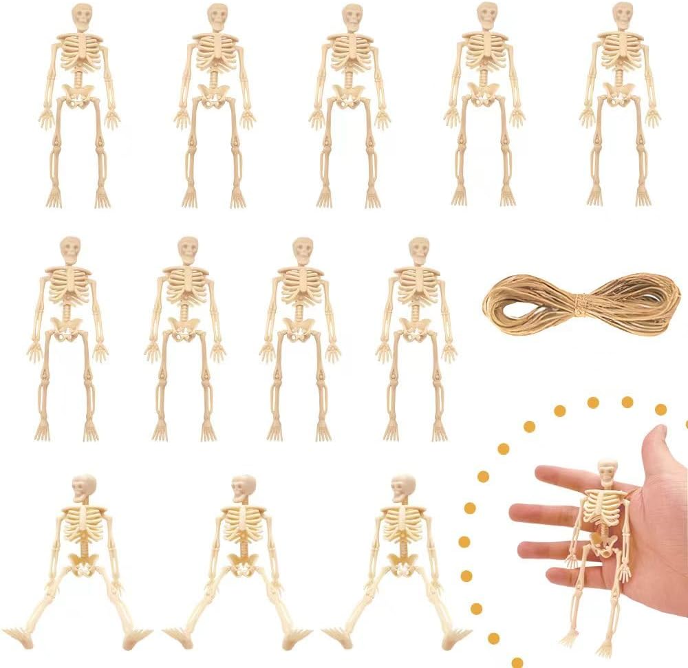 Amazon.com: GlyinnHe 12Pcs Halloween Mini Skeleton Figurine, 6” Posable ...