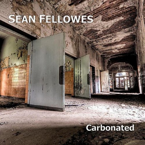 Amazon.com: Carbonated : Sean Fellowes: Digital Music