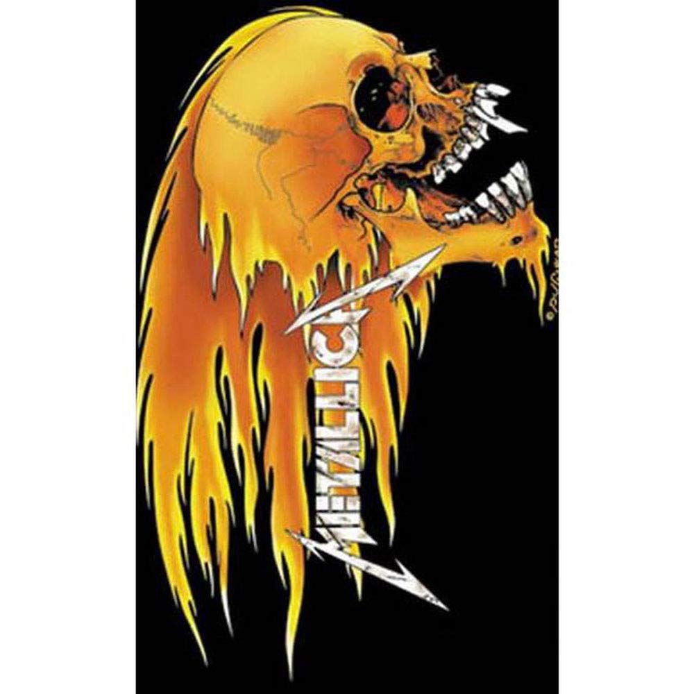 Metallica Skulls Wallpaper