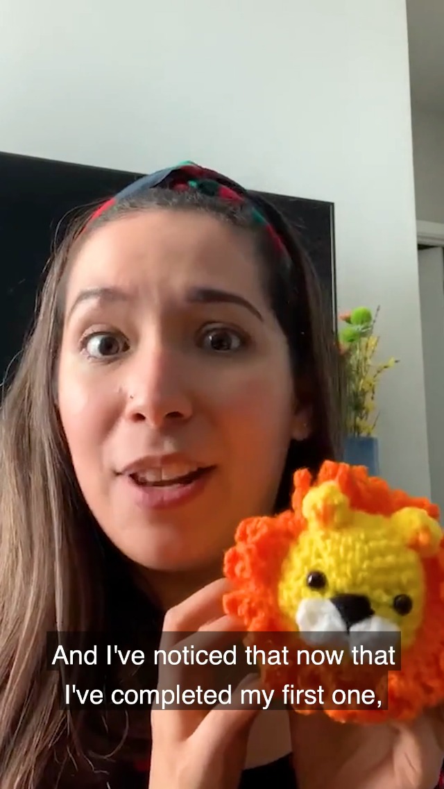 Watch Sebastian the Lion Review on Amazon Live