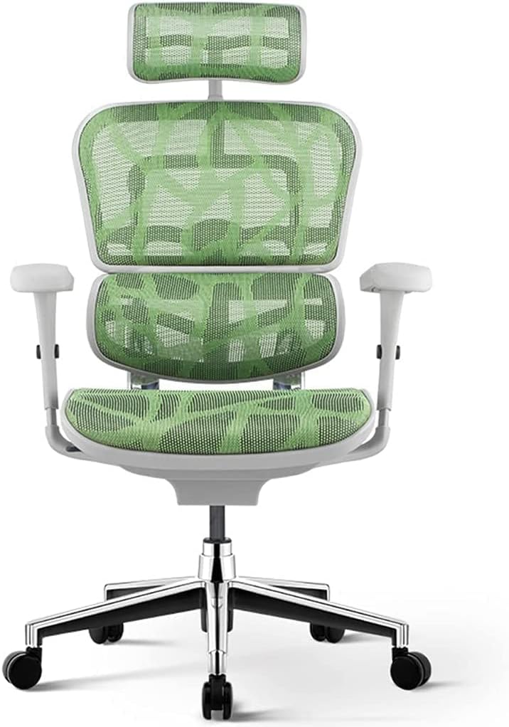 Amazon.com: Luxury Boss Chair Big Tall Executive Office Chair, Computer ...