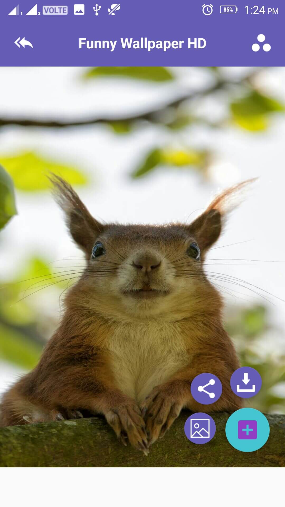 Live Funny Wallpapers Funny.reels