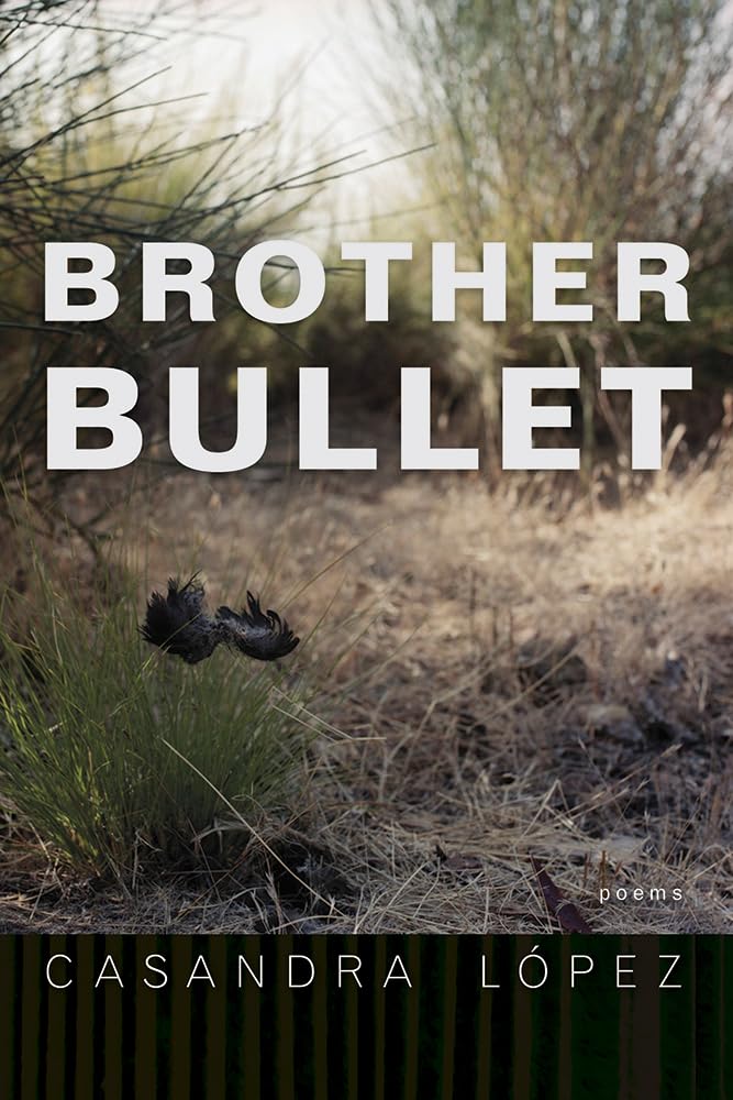 Amazon.com: Brother Bullet: Poems (Volume 84) (Sun Tracks ...