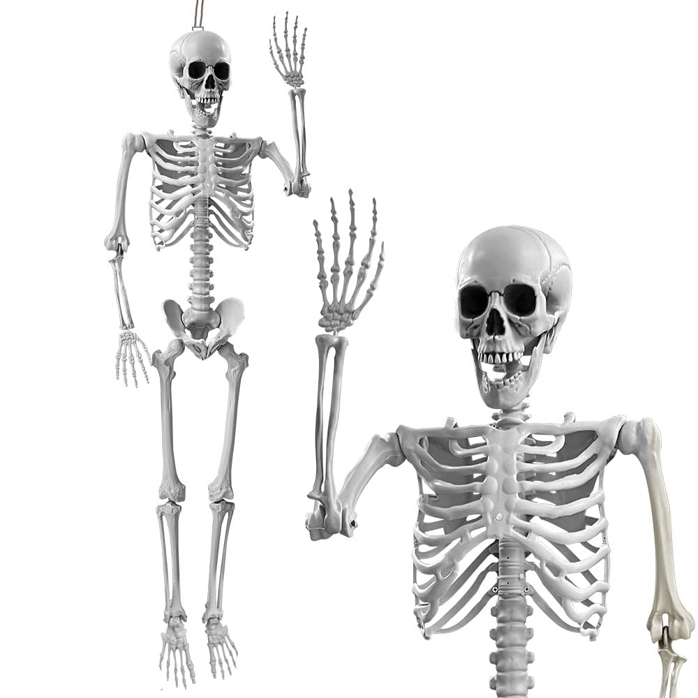 Medou 5.4Ft Halloween Life Size Skeleton Full Body with Movable Joints ...