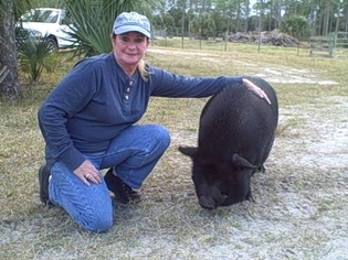 Amazon.com: Melanie Higgins Zysk: books, biography, latest update