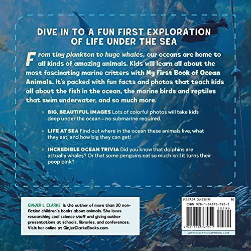 The 30 Children's Marine Life Books To Read In January 2023 - Cherry Picks