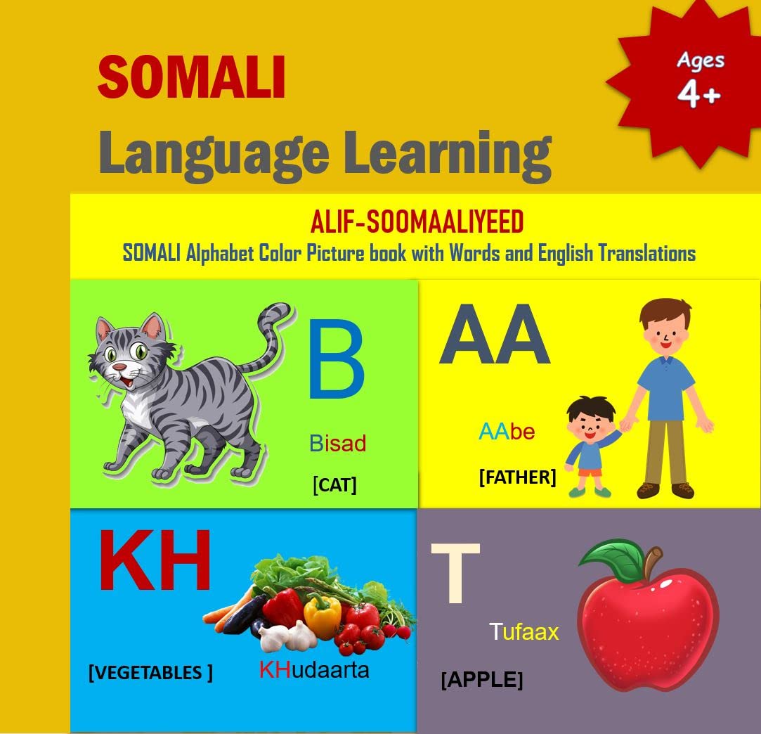 Buy SOMALI Language Learning: ALIF SOOMAALIYEED Buuga | Somali Alphabet ...