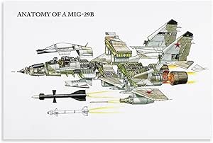Amazon.com: World Military Wall MIG-29 Fighter Aircraff- Soviet Air ...