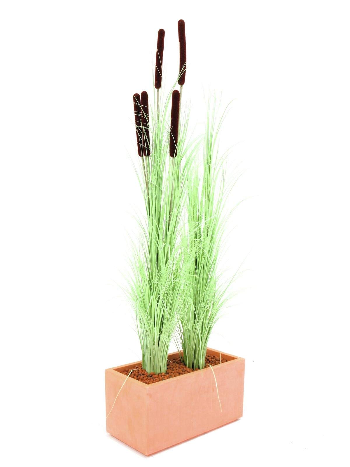 Green Reed Grass Mac