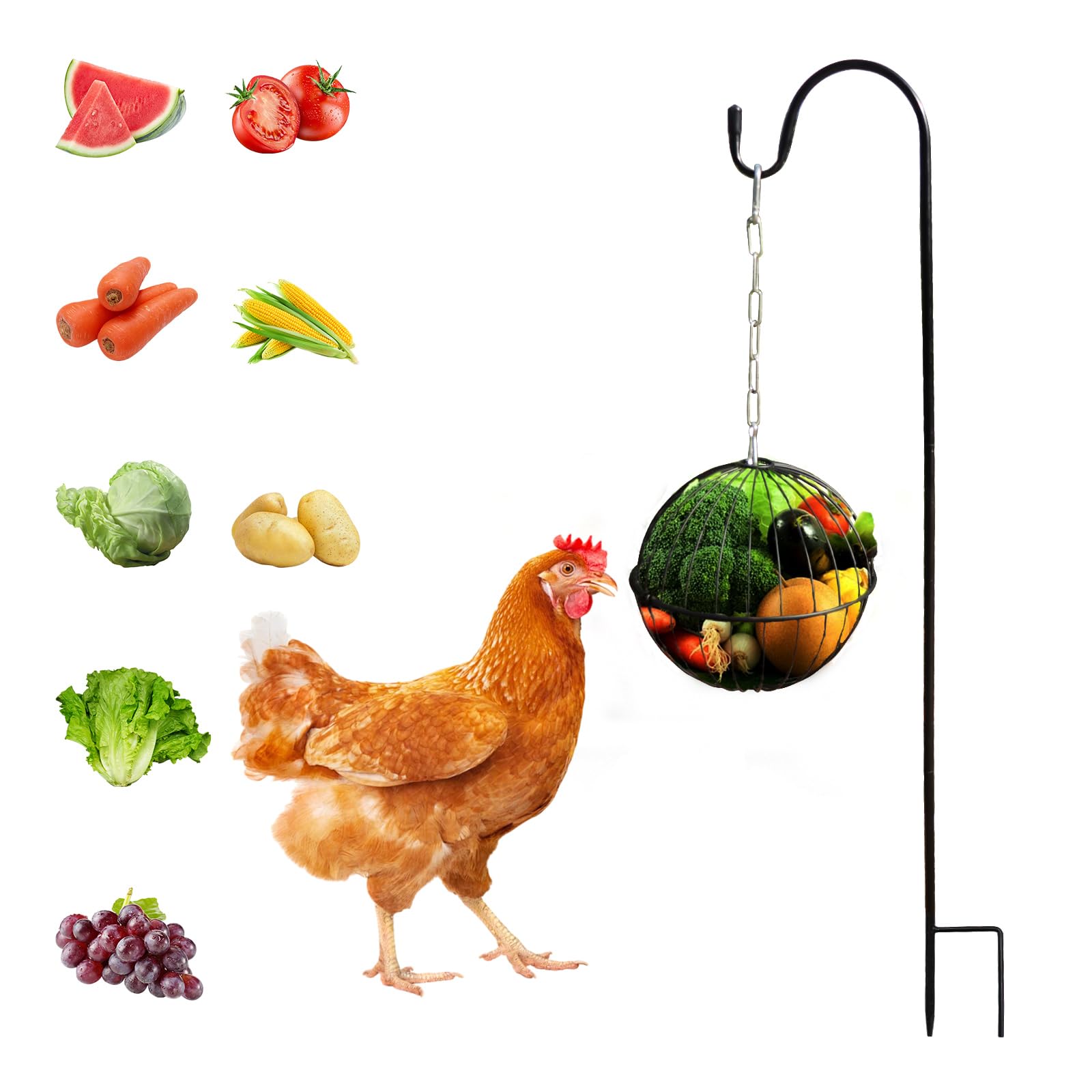 Amazon.com : Hanging Chicken Feeder, 7 Inch Chicken Food Dispenser with ...