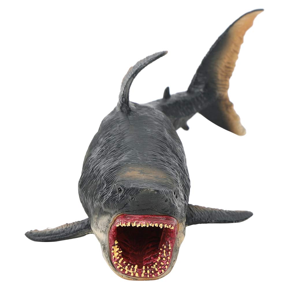 Buy Megalodon Figure, Sharks Model, Gift Animal Rare Model Educational ...