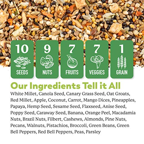 Best Parakeet Food - List for a Healthy Diet & Also Parakeet Treats