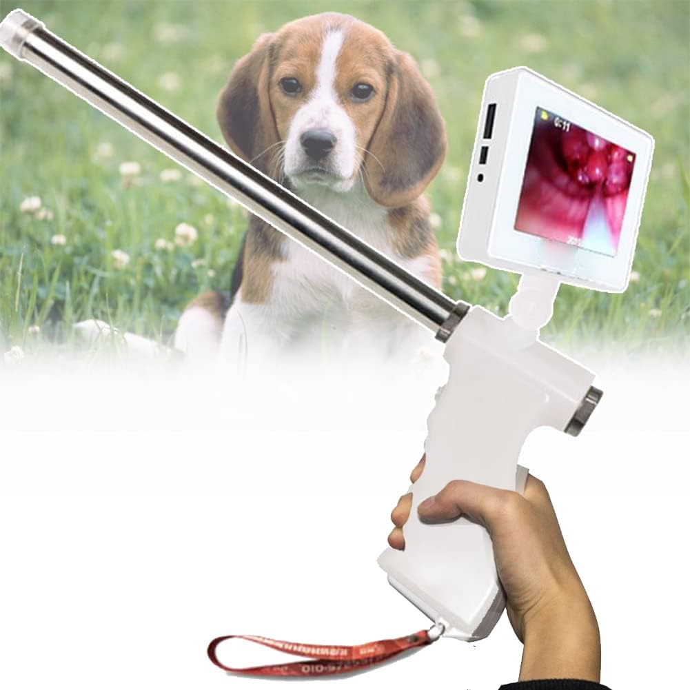 Artificial Insemination Gun Instrument, Dog Visual 3.5 in Endoscope ...