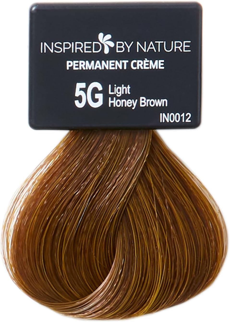 Amazon.com : ion Ammonia-Free Permanent Hair Color Light Honey Brown 5G ...