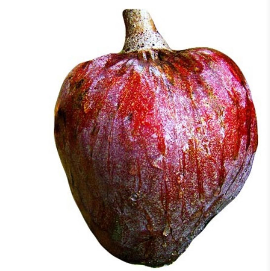 Custard Apple Fruit Sugar Apple (Sweetsop) *Pre Order* – Miami Fruit