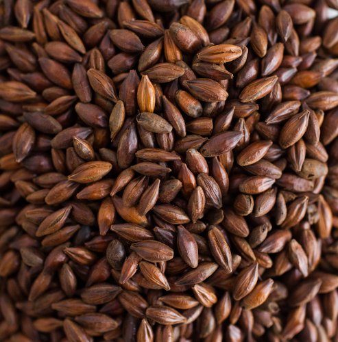 Amazon.com: Dingemans Belgian Chocolate Malt Home Brewing Malt Whole ...