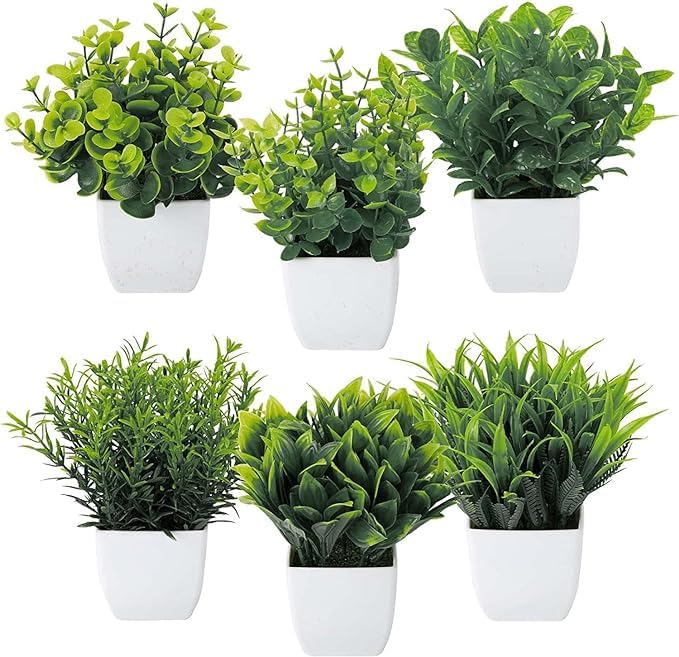 Buy NOVA LINT REMOVER Dekorly Artificial Potted Plants, 6 Pack ...